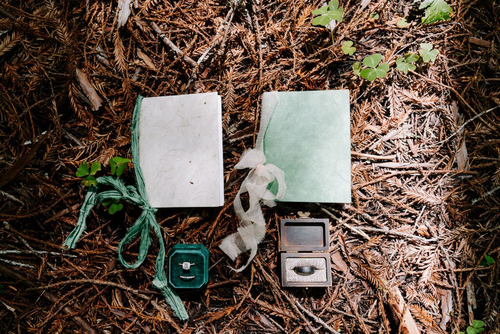 Elopement Details: What are they and why do they matter?