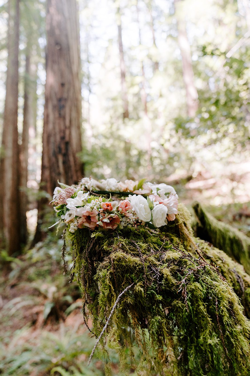 Elopement Details: What are they and why do they matter?